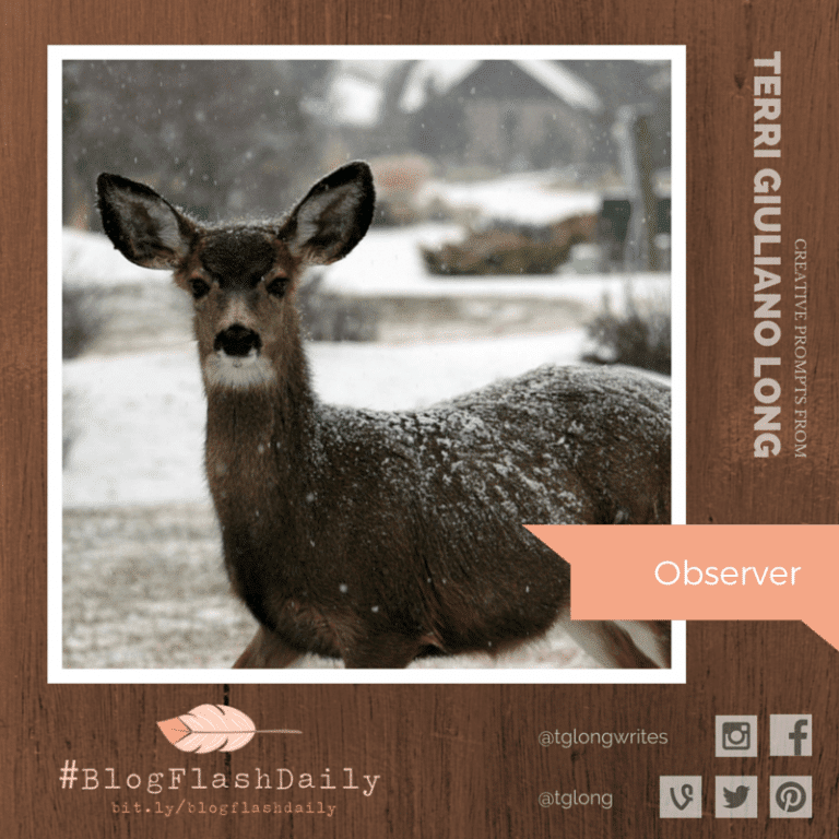 #BlogFlashDaily Writing Prompt: OBSERVER #BlogFlashDaily Writing Prompt: OBSERVER