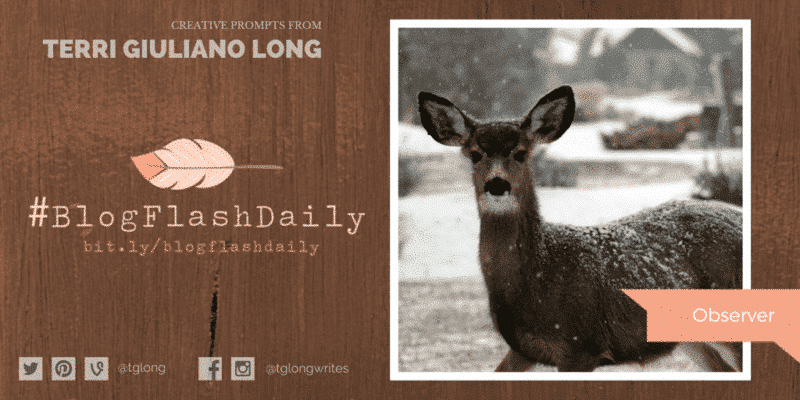 #BlogFlashDaily Writing Prompt: OBSERVER #BlogFlashDaily Writing Prompt: OBSERVER