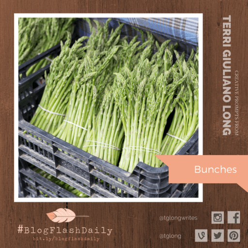 #BlogFlashDaily Writing Prompt: BUNCHES • Terri Giuliano Long #BlogFlashDaily Writing Prompt: BUNCHES • Terri Giuliano Long