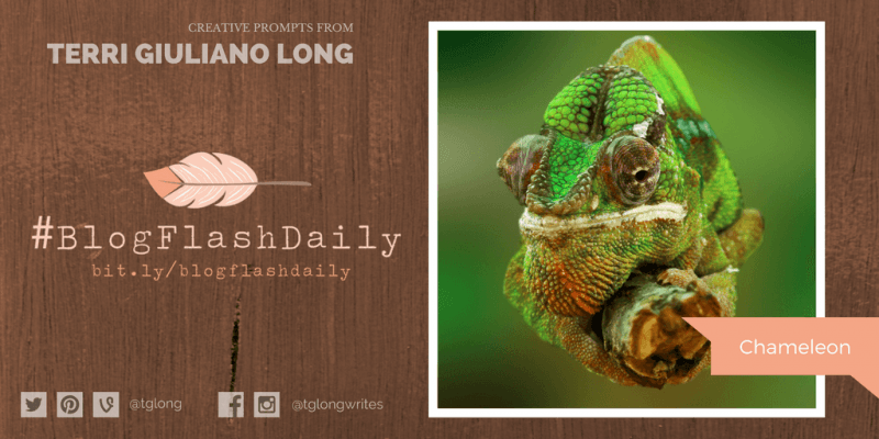 #BlogFlashDaily Writing Prompt: CHAMELEON • Terri Giuliano Long #BlogFlashDaily Writing Prompt: CHAMELEON • Terri Giuliano Long