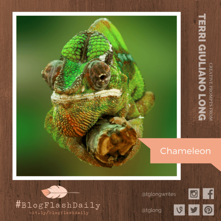 #BlogFlashDaily Writing Prompt: CHAMELEON • Terri Giuliano Long #BlogFlashDaily Writing Prompt: CHAMELEON • Terri Giuliano Long