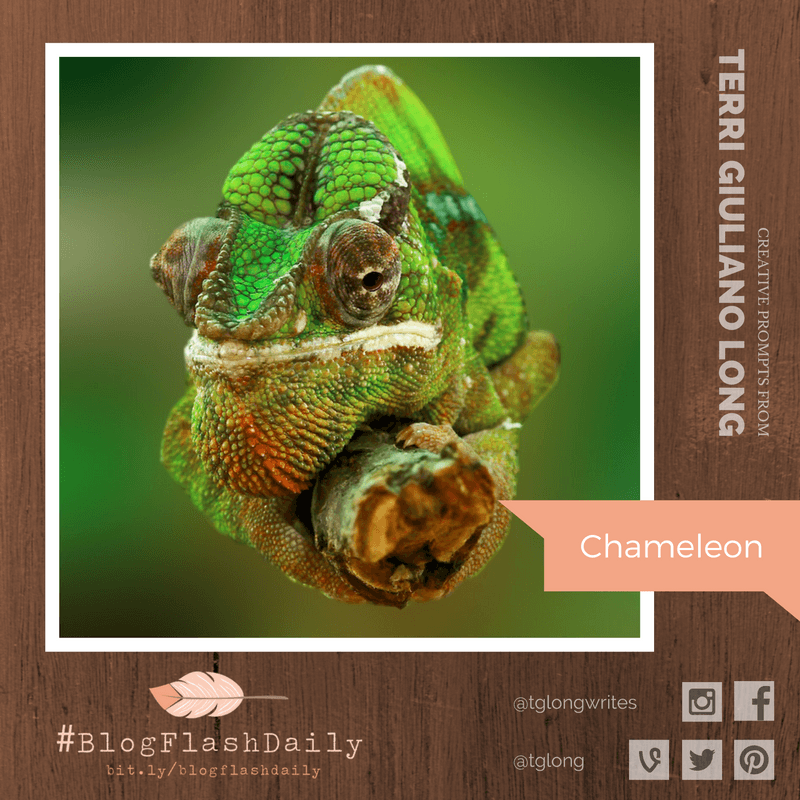 #BlogFlashDaily Writing Prompt: CHAMELEON • Terri Giuliano Long #BlogFlashDaily Writing Prompt: CHAMELEON • Terri Giuliano Long