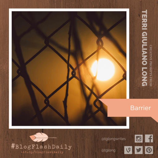 #BlogFlashDaily Writing Prompt: BARRIER • Terri Giuliano Long #BlogFlashDaily Writing Prompt: BARRIER • Terri Giuliano Long