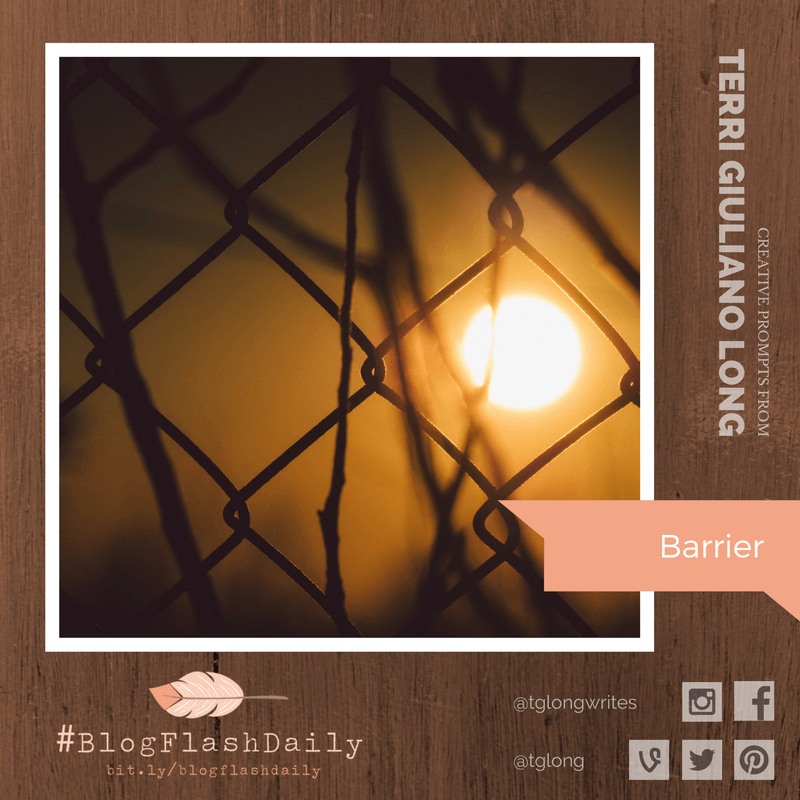 #BlogFlashDaily Writing Prompt: BARRIER • Terri Giuliano Long #BlogFlashDaily Writing Prompt: BARRIER • Terri Giuliano Long